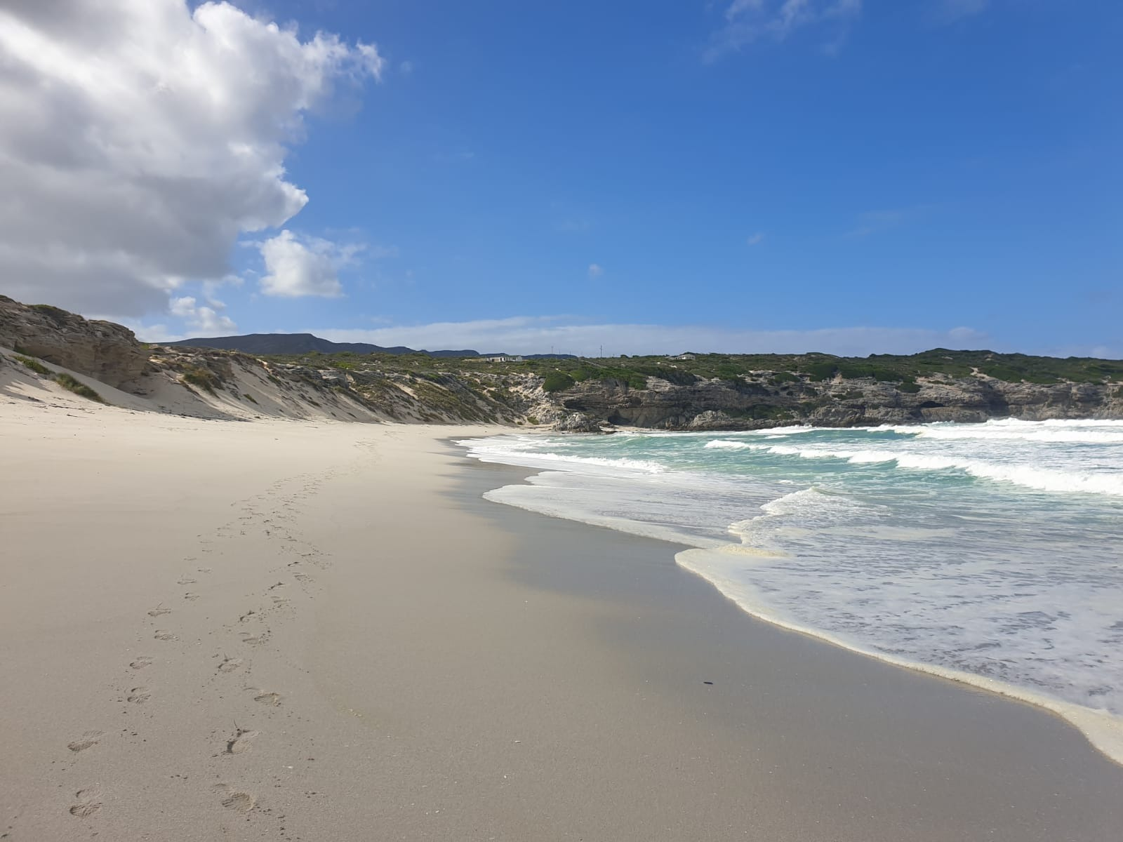 Beaches - Walviskus: Self-catering Apartement, De Kelders